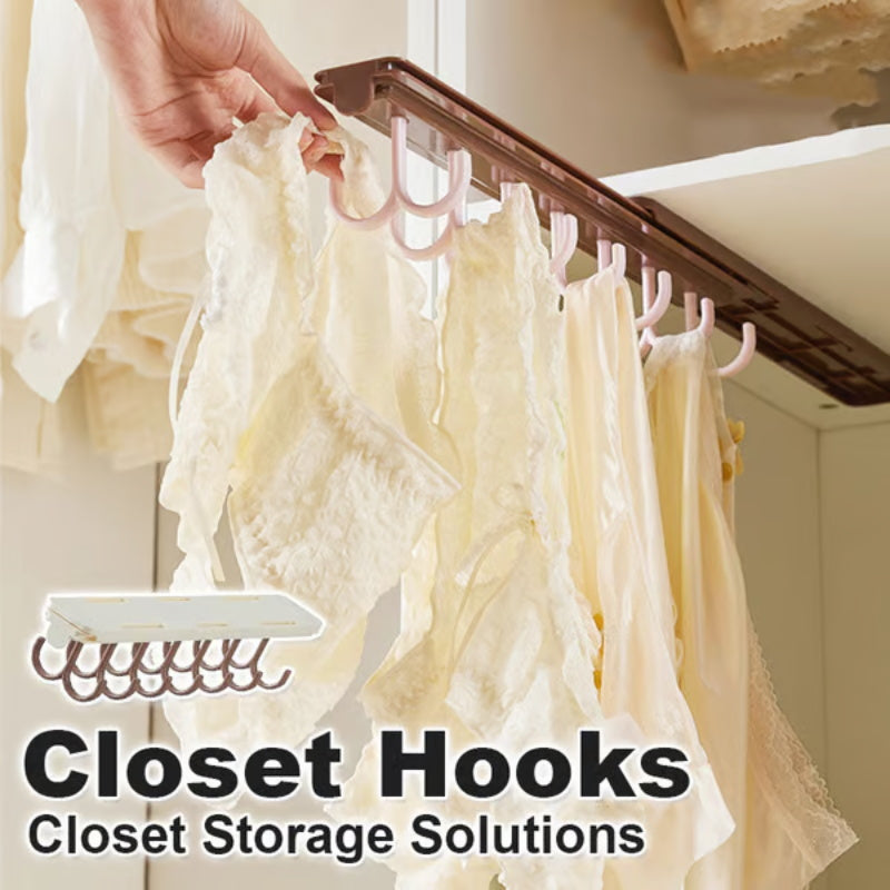Retractable Sliding Hanging Organizers for Closets – holdonmy