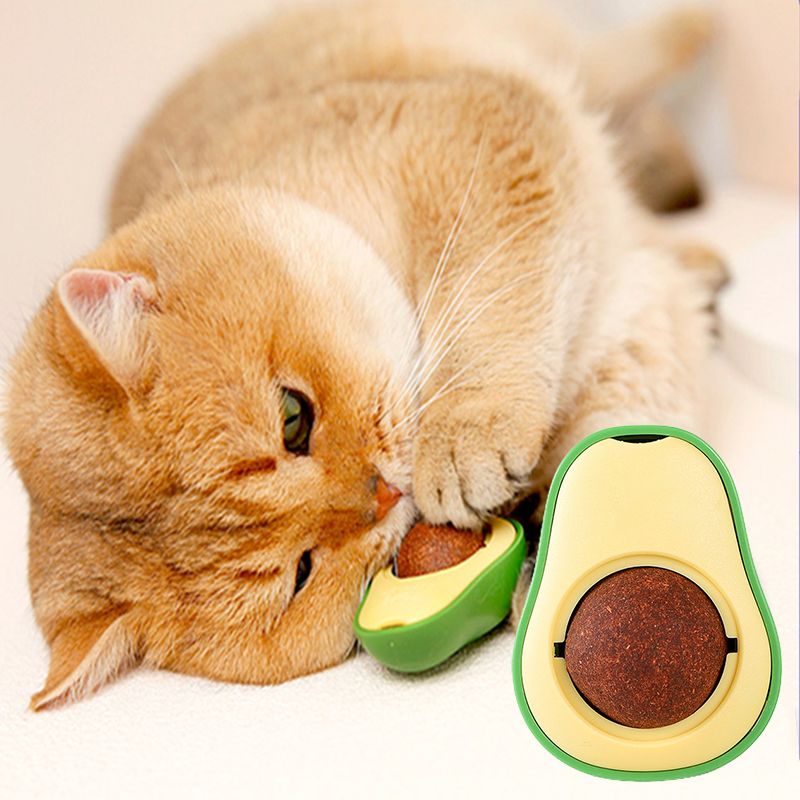 Avocado Catnip Toy – holdonmy